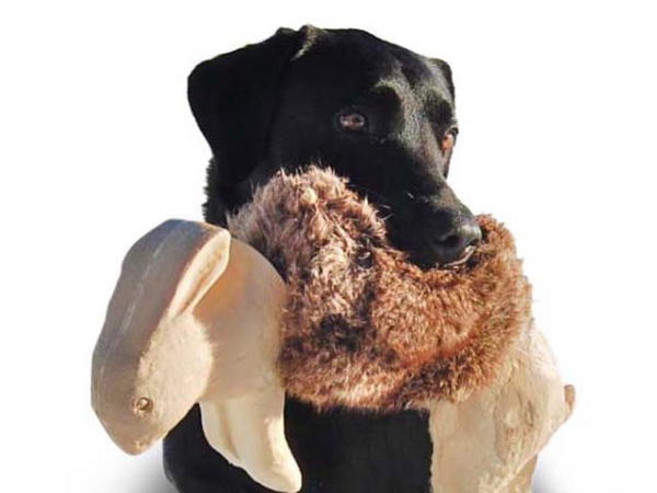 Bunny Dummy 3-part dummies - Dummies - Training / Hunting Paw