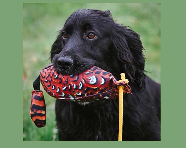 Duck dummy small khaki/orange Duck dummies - Dummies - Trainin